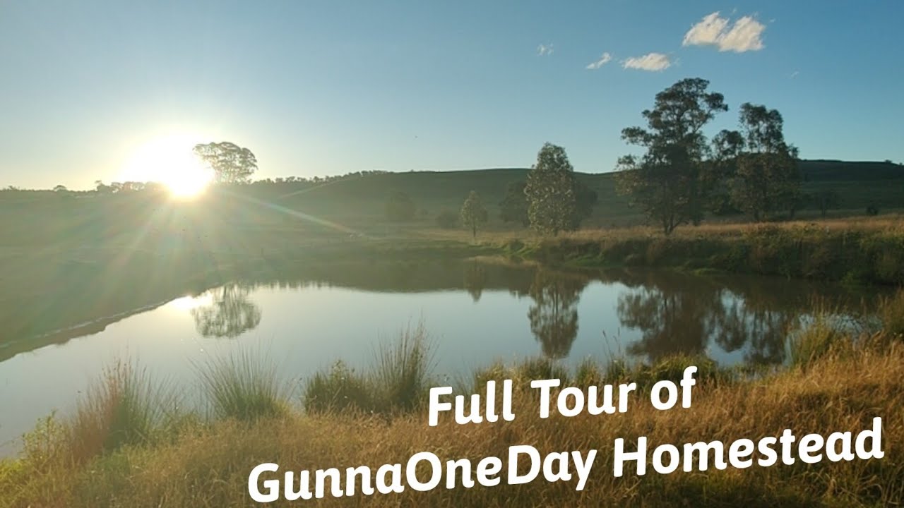 FULL tour of GunnaOneDay Homestead - YouTube