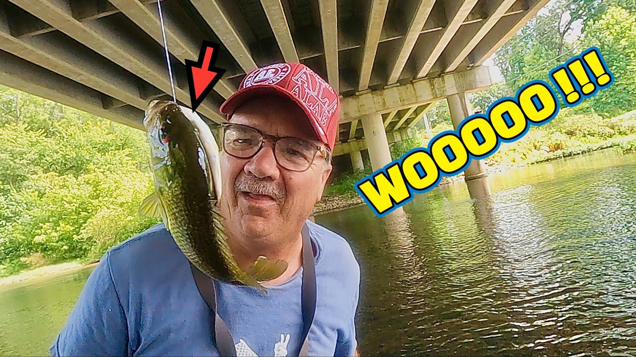 FISHING with LIVE MINNOWS to CATCH FISH In a CREEK / SMALL RIVER ...
