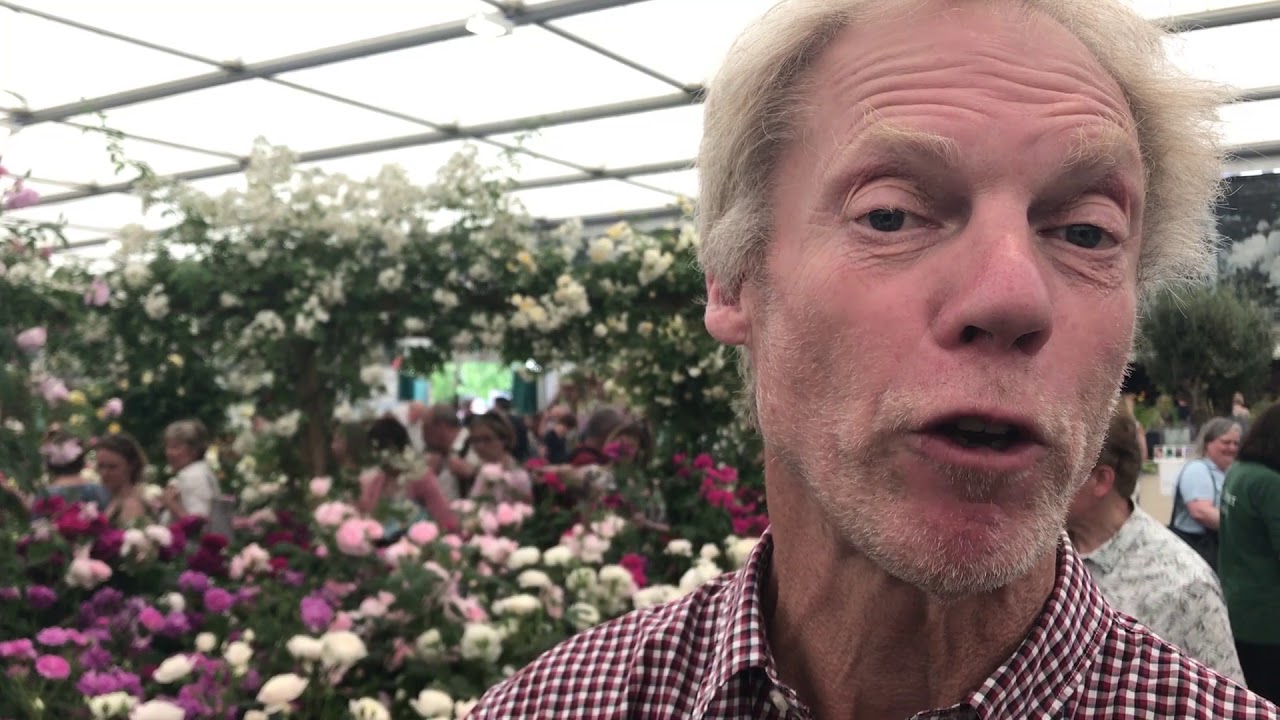 Climbers & Ramblers - David Austin Roses - YouTube