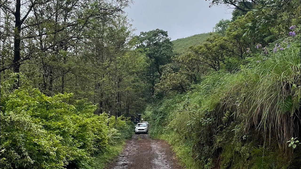 Trip to Jhari Resort - YouTube