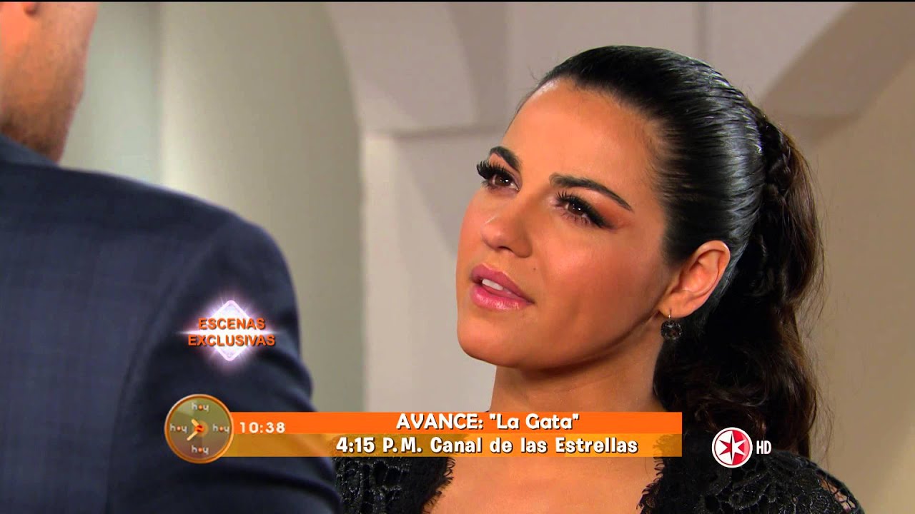 La Gata - Programa Hoy | Avance La Gata 11 de septiembre - YouTube