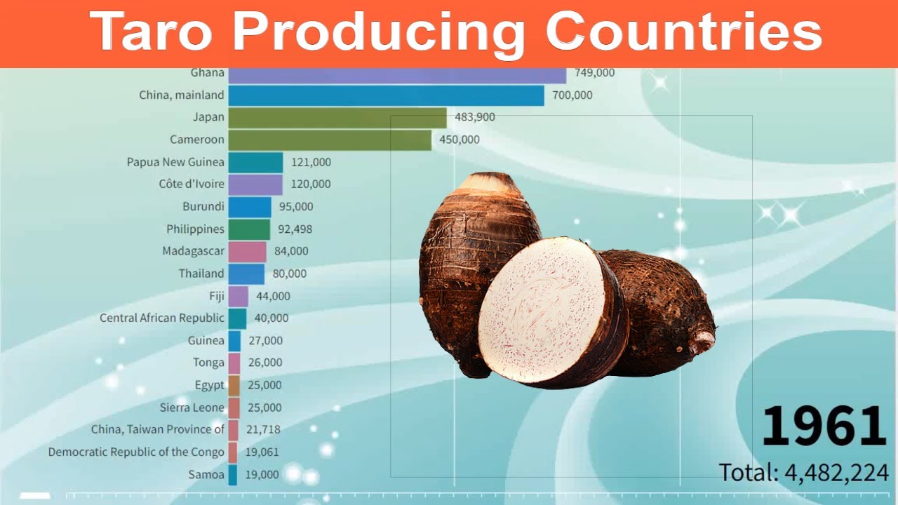 Taro Producing Countries || Taro Production in the World - YouTube