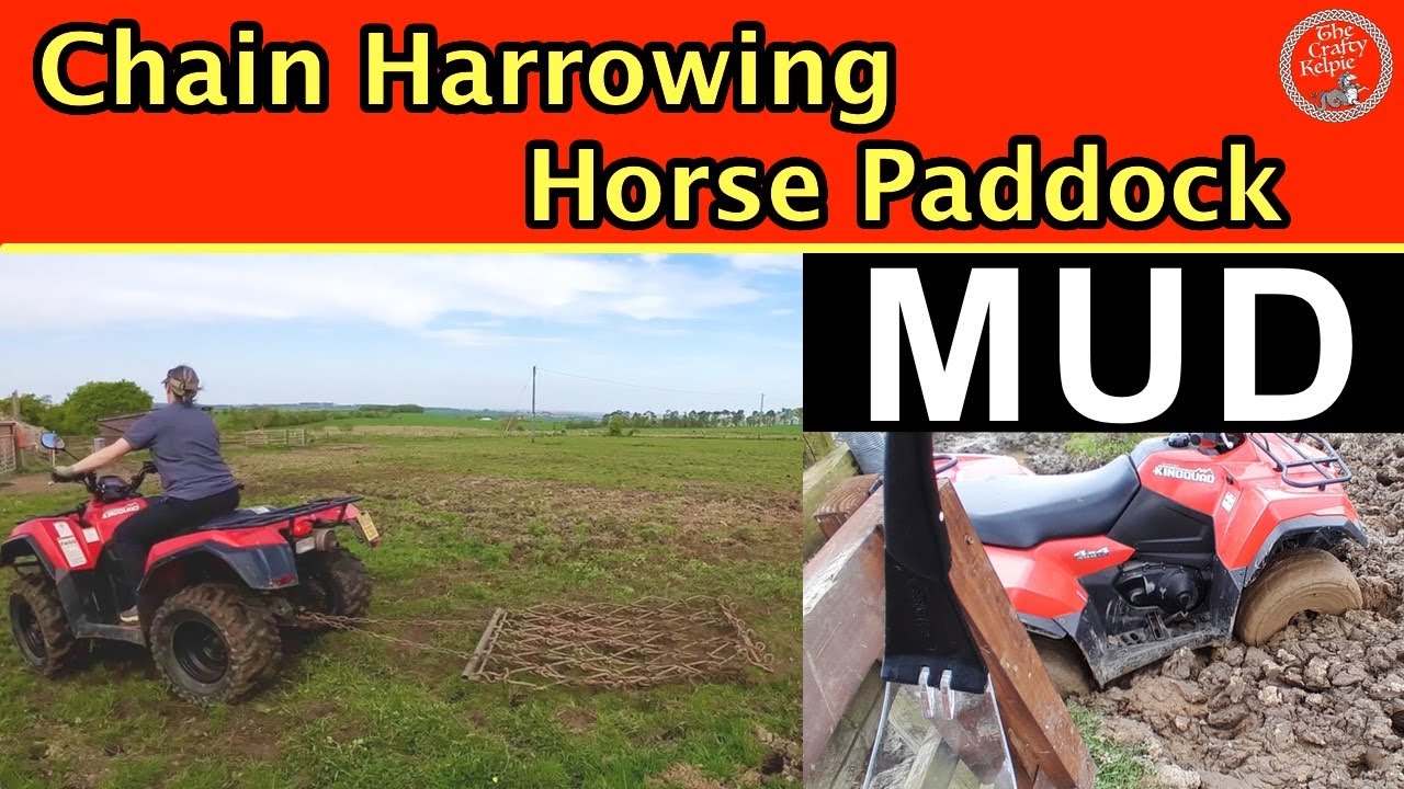 Chain Harrowing Horses Paddock Maintenence - YouTube