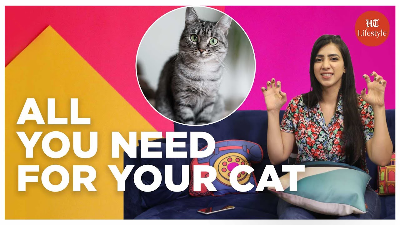 All You Need For Your Cats | Cat Must-Haves | Shopping Haul | HT ...