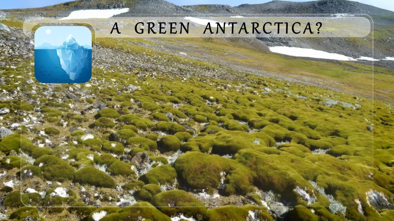 A GREEN ANTARCTICA? (What, Where and How: Simplified) - YouTube