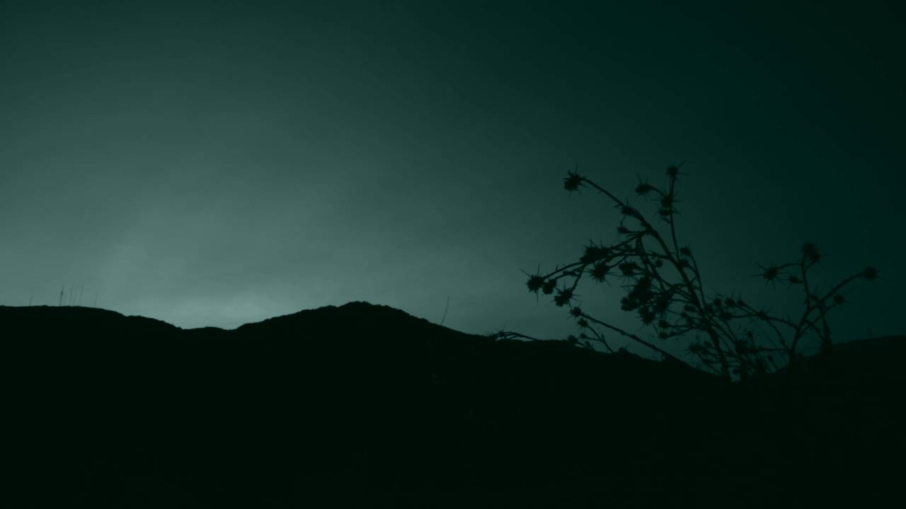 Nature Montage - YouTube