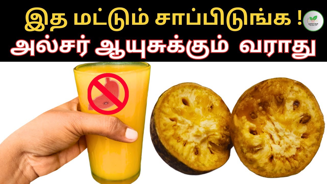 குடற்புண்ணை குணமாக்கும் வில்வம் பழத்தின் மருத்துவ பயன்கள் || Vilvam ...