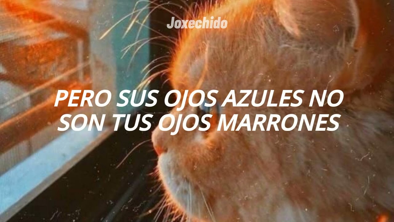 ojos marrones (remix) sebastian yatra y lasso - YouTube