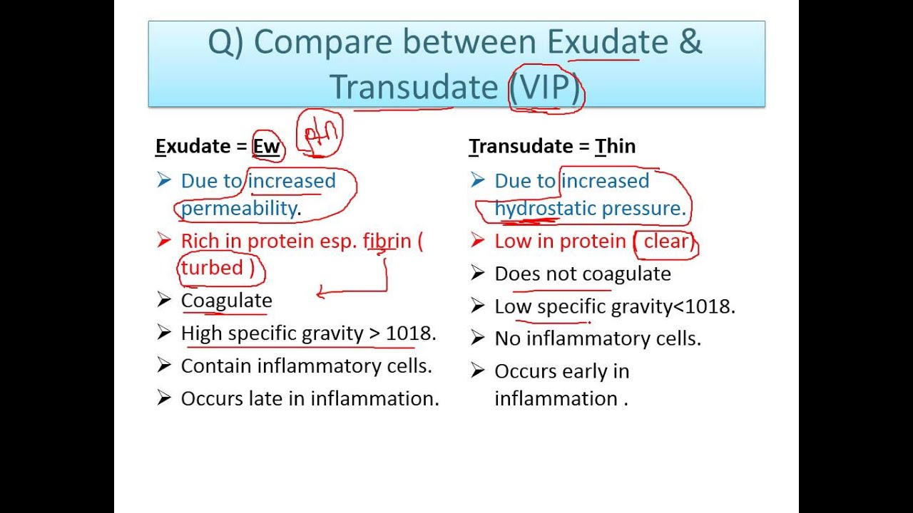Proteinaceous Exudate