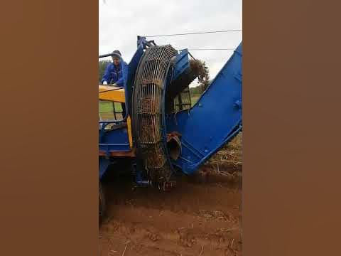 Уборка картофеля 2021,пробуем комбайн. - YouTube