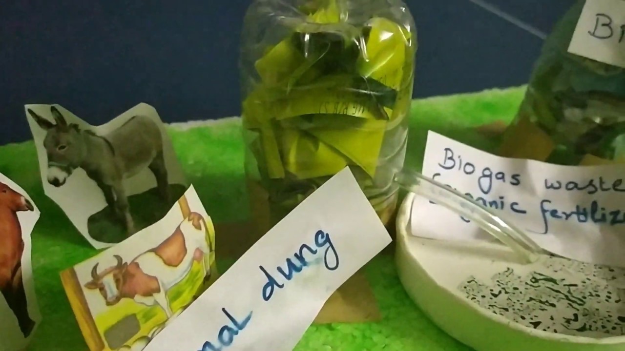 school project - a bio gas model # kids work # model # science #school ...