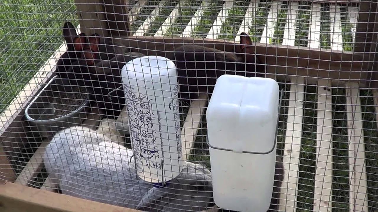 Modified Rabbit Tractor - YouTube