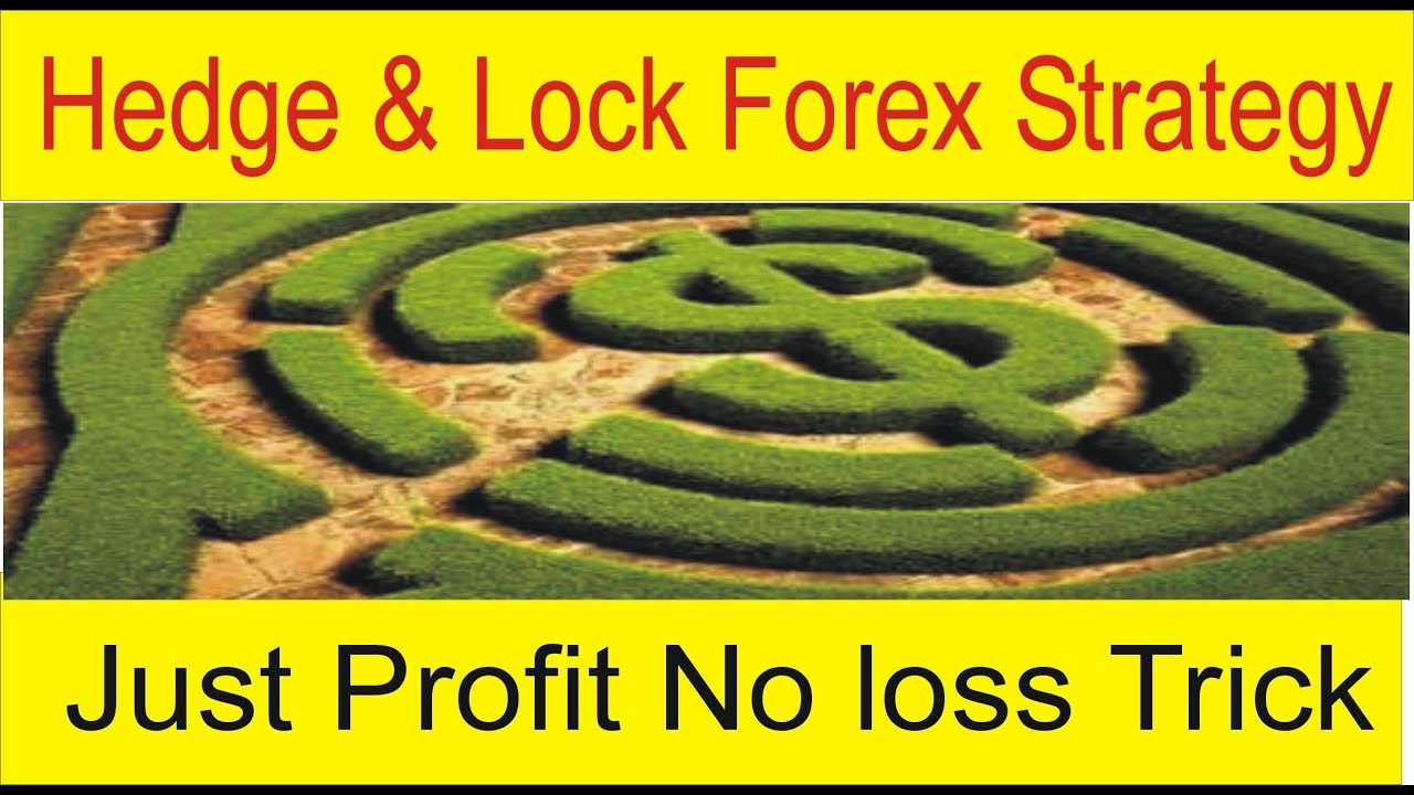 Hedge And Lock Forex Profitable Strategy | 500$ investment daily profit ...