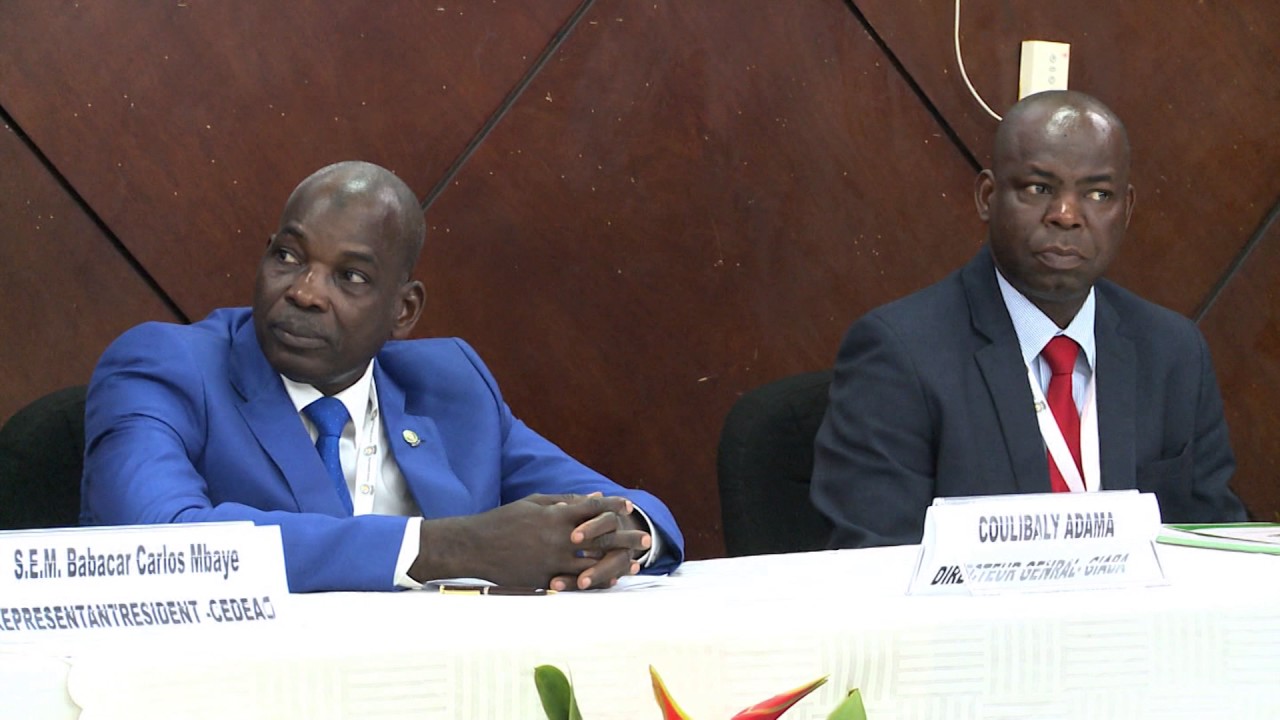 Economie :conference du GIABA - YouTube