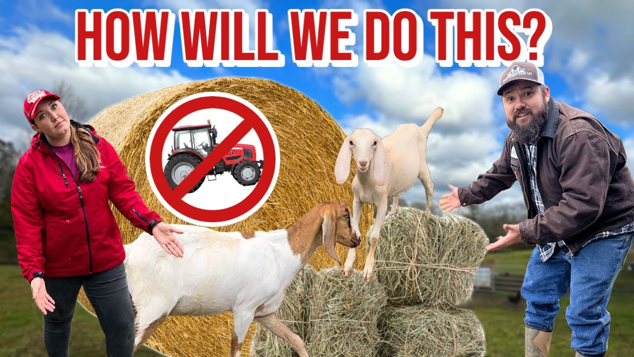 No, Goats won't just eat anything! - YouTube
