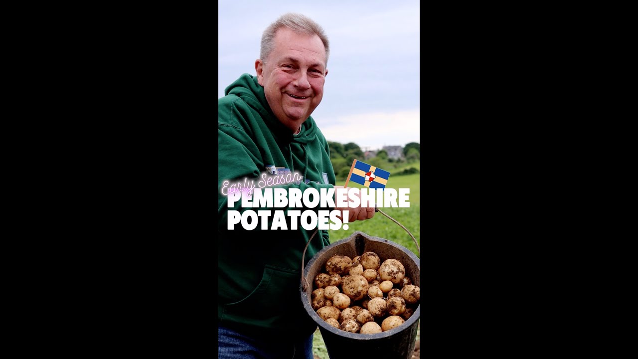 CK Foodstores | Pembrokeshire Potatoes! Feat. Kev Johns - YouTube