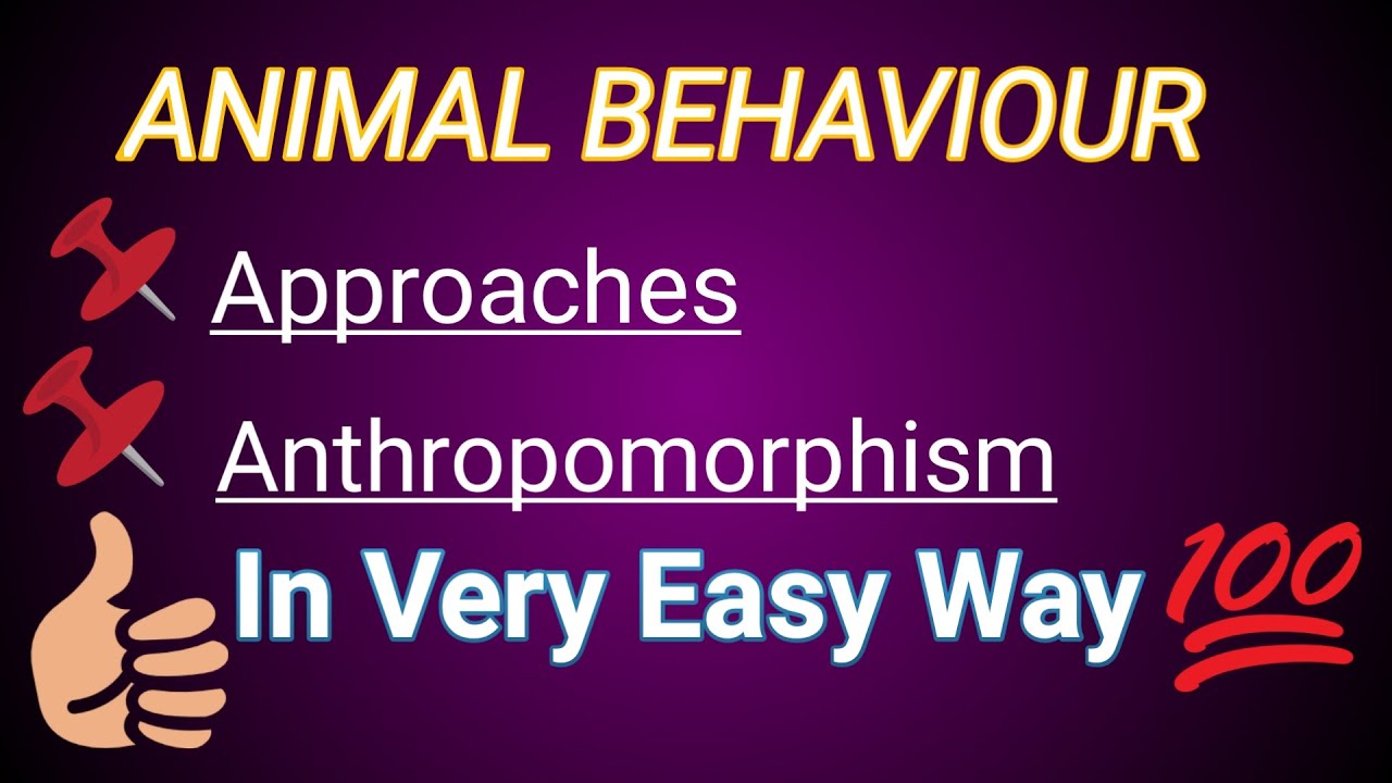 ANIMAL BEHAVIOUR// APPROACHES//ANTHROPOMORPHISM - YouTube