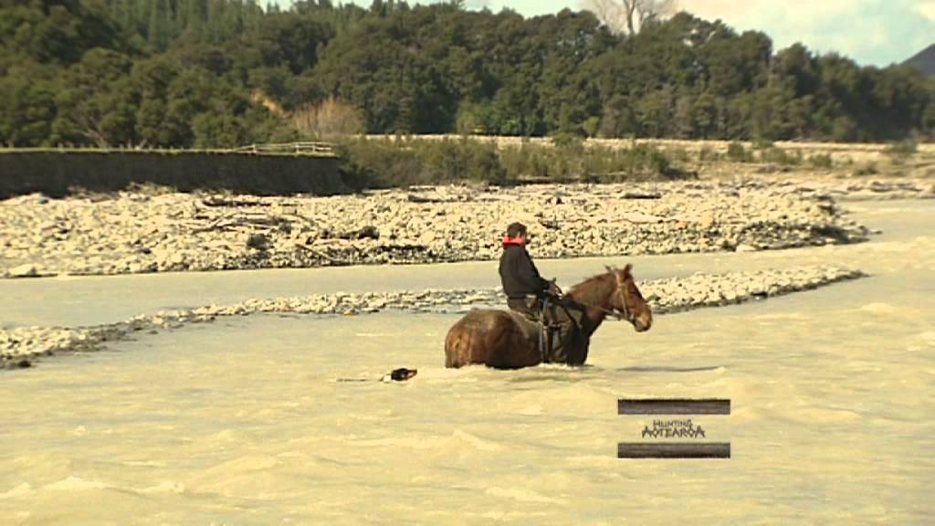 Hunting Aotearoa S1 Ep07 teaser.mov - YouTube
