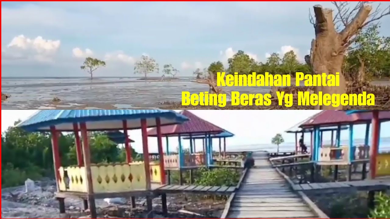 Wisata Meranti, Keindahan Pantai Beting Beras Kuala Merbau. Kep ...
