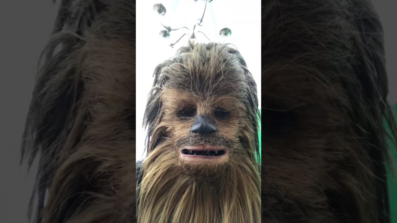 Chewie meets the Family - YouTube