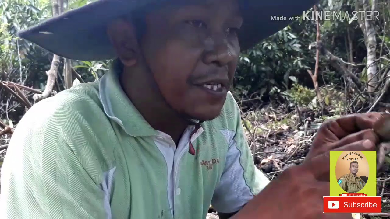 Cara menangkap Rama-rama/kepiting makanan has masyarakat asli bengkalis ...
