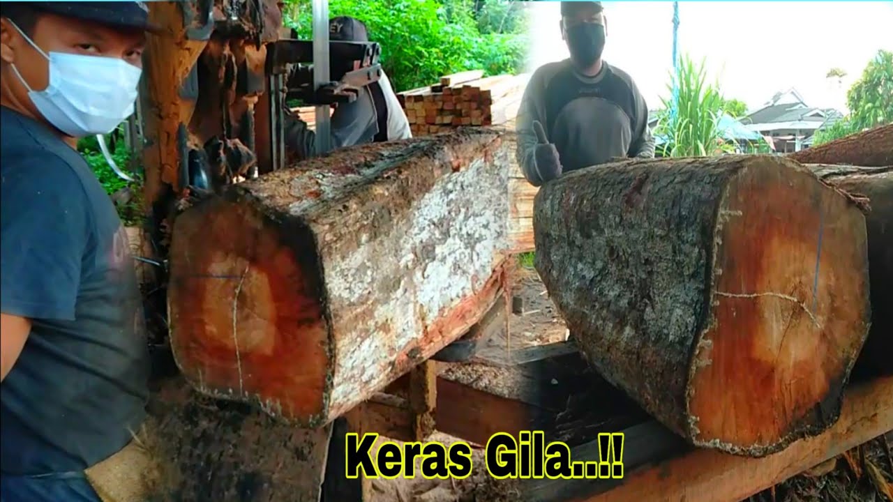 Apakah ini Kayu ulin..?? Keras nya Gila - Gila Boskuh..Yang Merah Enak ...