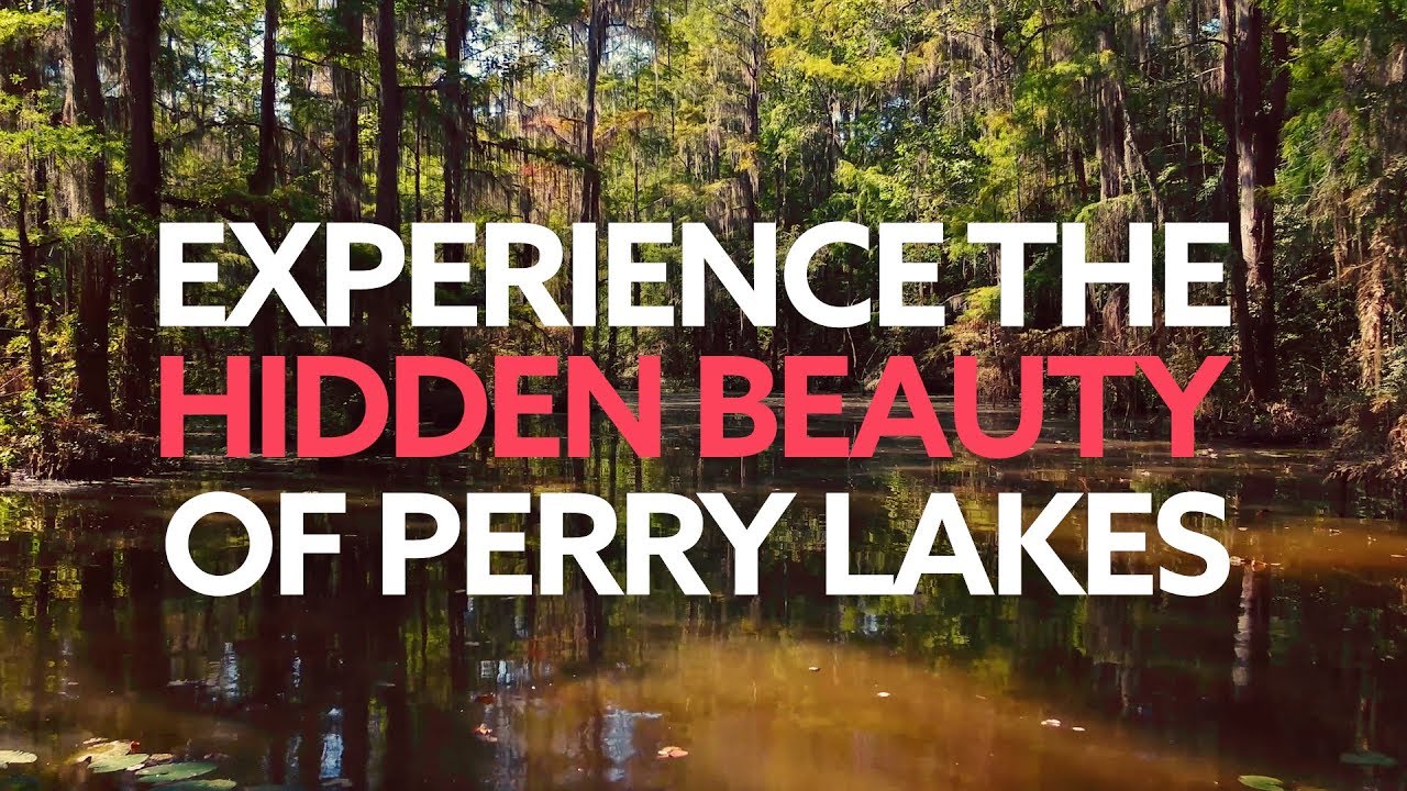 Discover Perry Lakes Park - YouTube