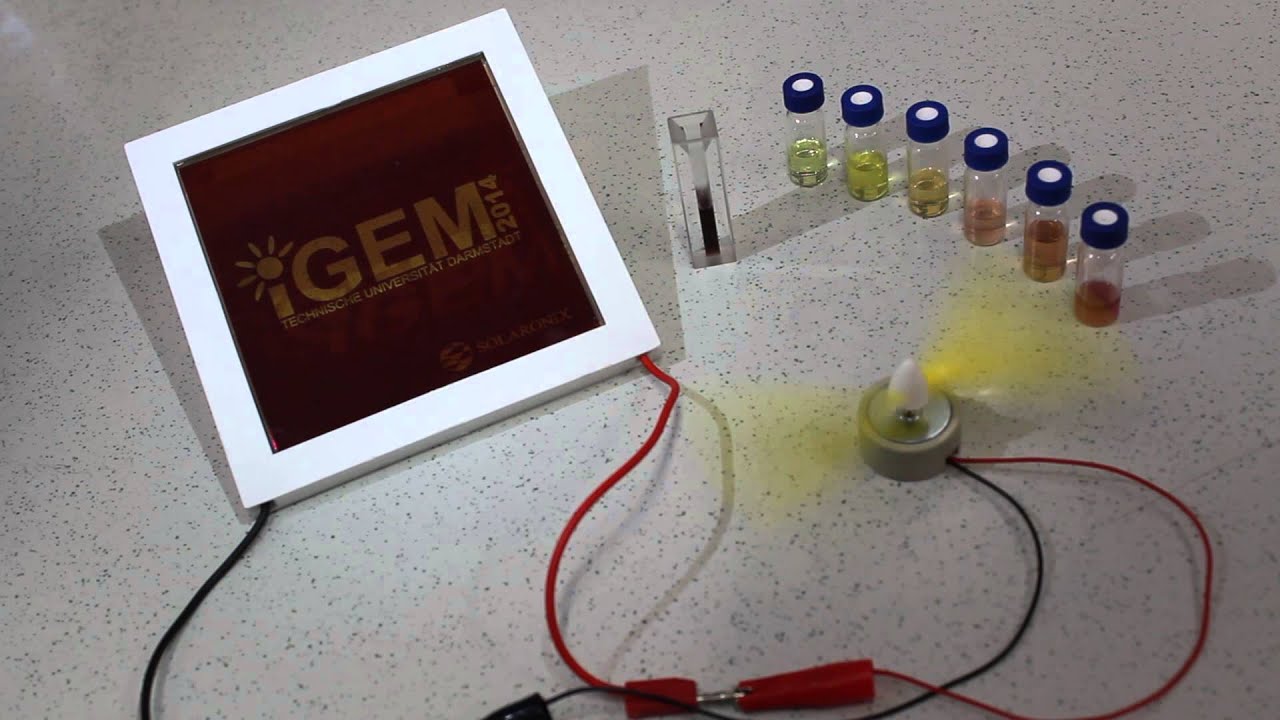 iGEM_TUD: Graetzel cell in action - YouTube