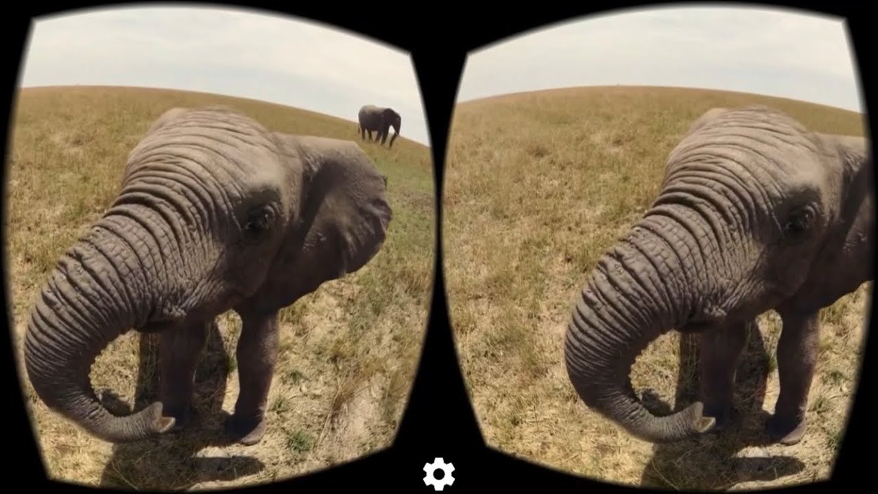 360 Video! My Africa baby elephants VR 3D - YouTube