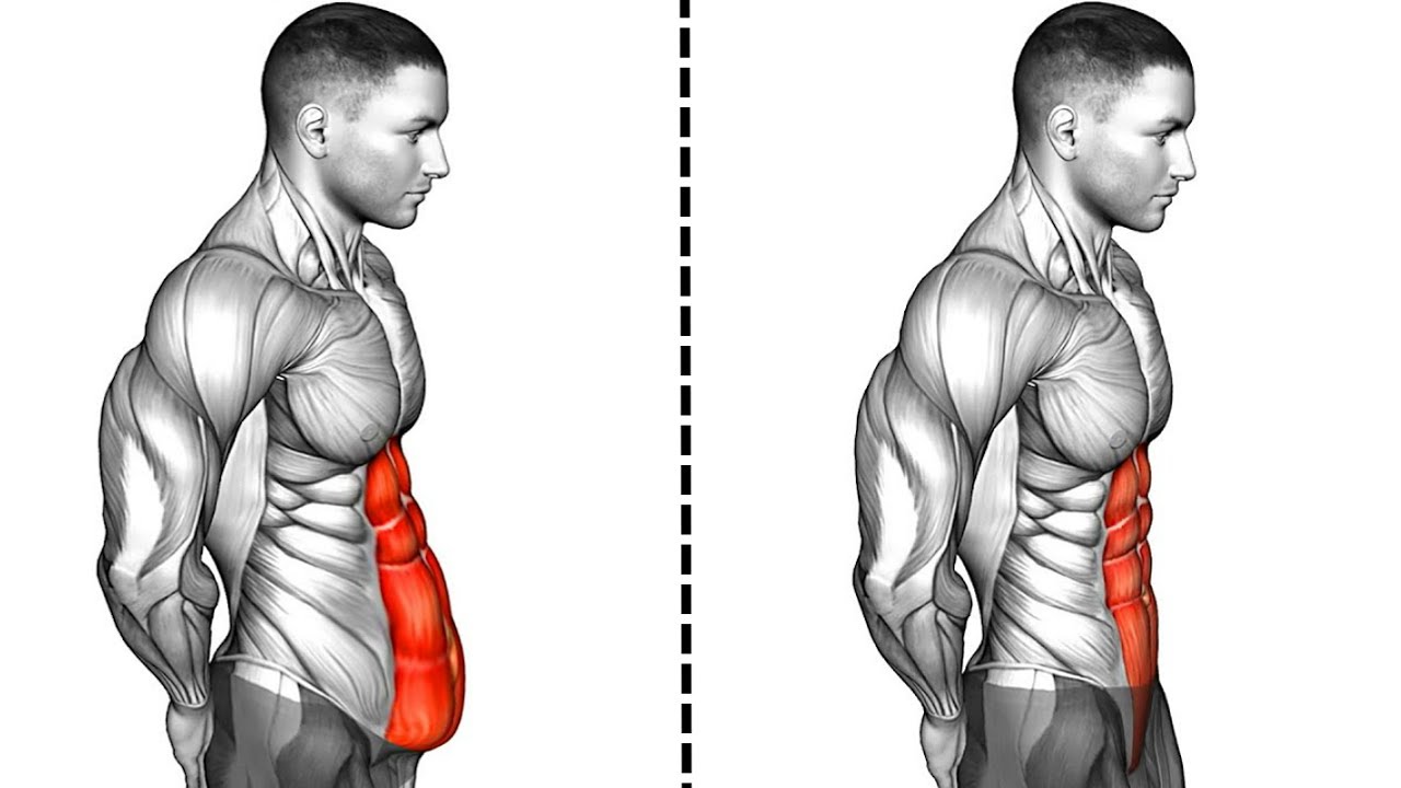 Abs Exercises | Do it Everyday for a 6pack abs - YouTube