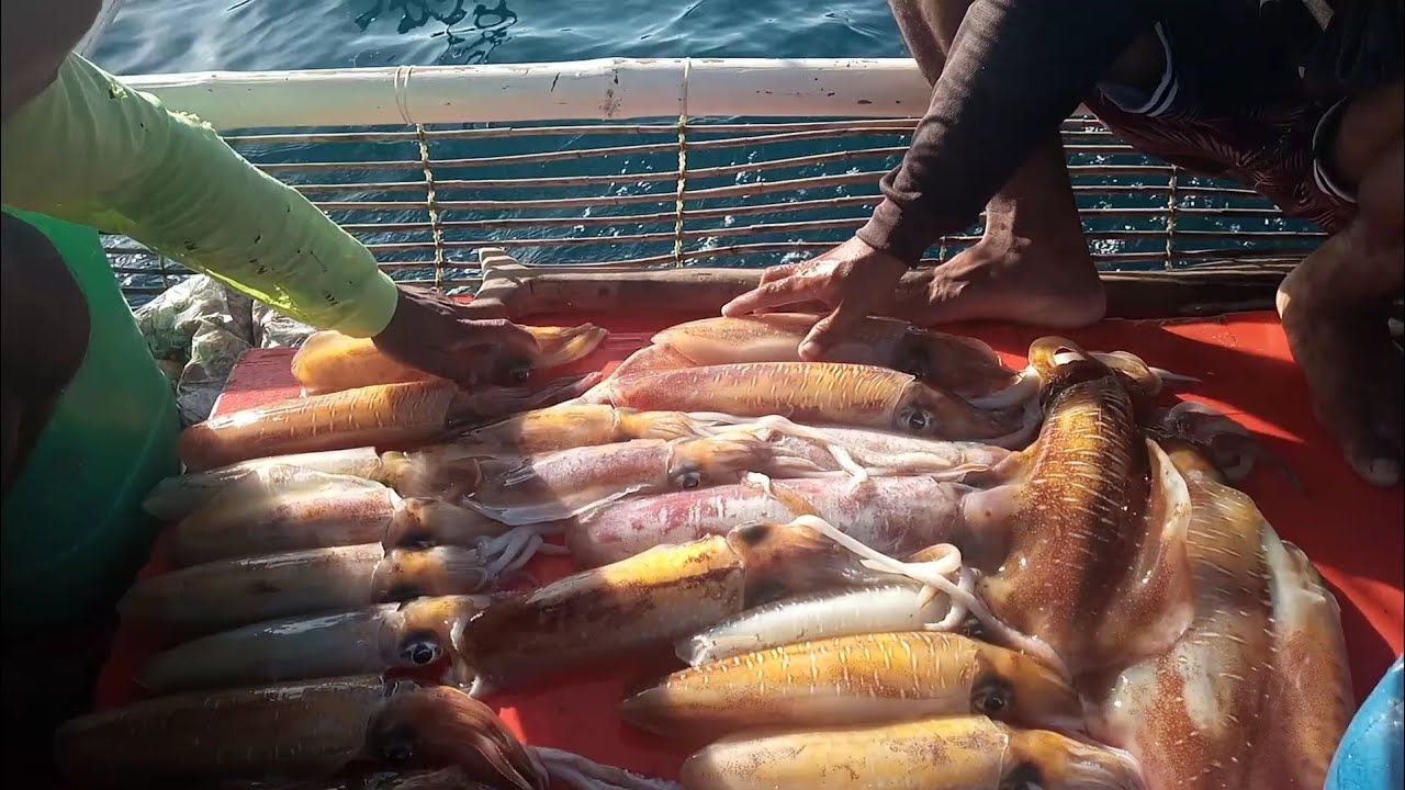 Pusit Lumot Sinubukan namin Mangawil Kahit Malakas ang Agos - YouTube