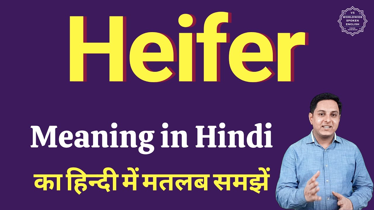 Heifer Meaning In Hindi Heifer Ka Matlab Kya Hota Hai YouTube heifer-meaning-in-hindi-heifer-ka-matlab-kya-hota-hai-youtube