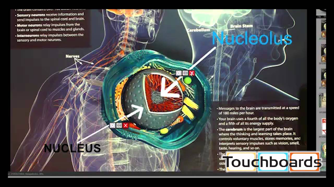 XSight HD Viewer: 3 minute Intro - YouTube