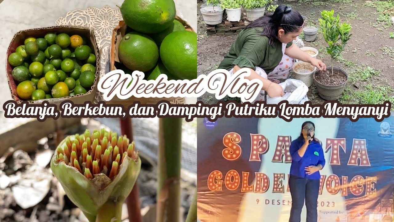 FULL GIAT BERKEBUN SEBELUM ANTAR ADIK LOMBA MENYANYI / TANAM LEMON CUI ...