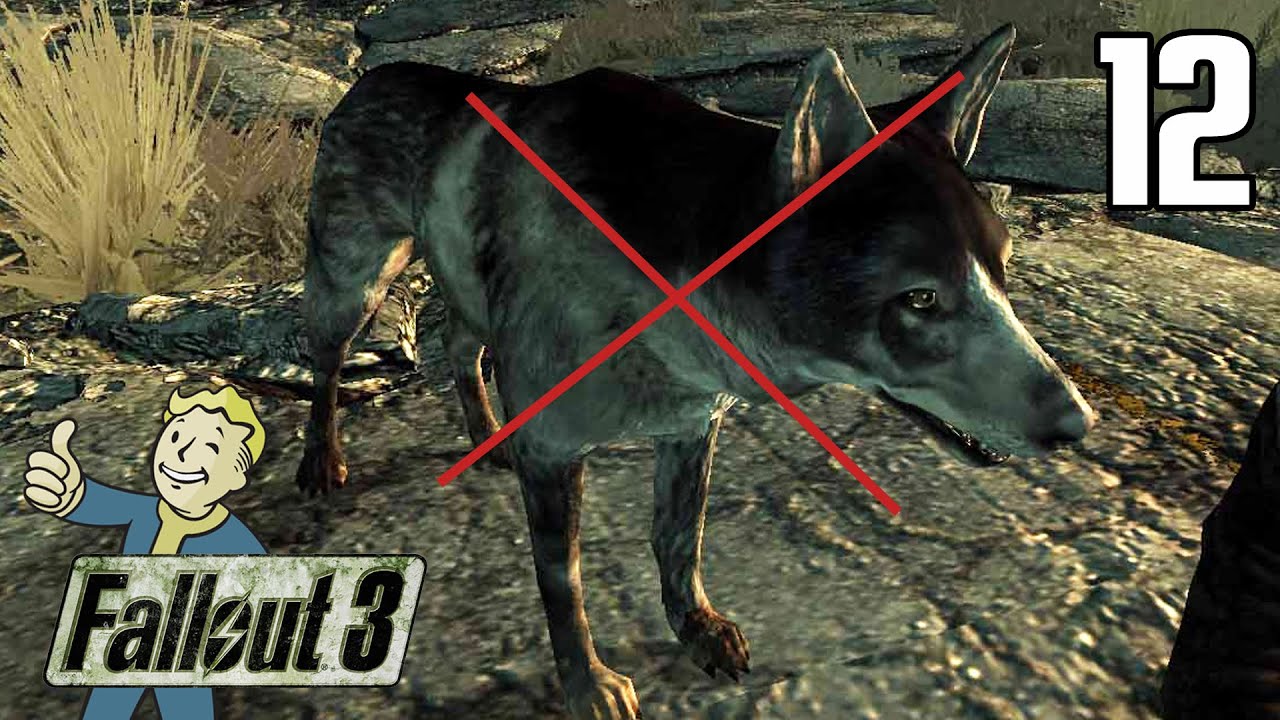 RIP in Peace Dogmeat - Fallout 3 Gameplay with Mods (and DLC) - #12 ...