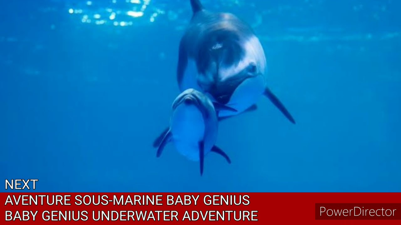 Upnext Baby Genius Underwater adventure - YouTube