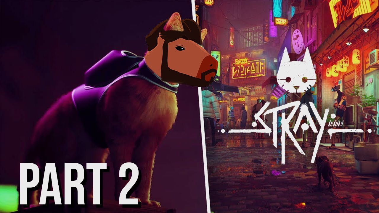 BEEP BOO BOO BOP! || Stray Part 2 - YouTube