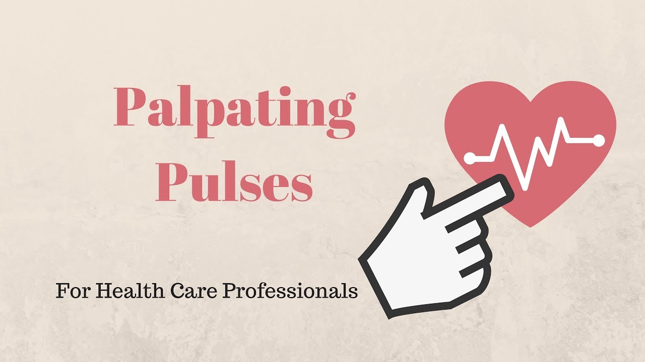 Palpating Pulses for Healthcare Professionals - YouTube