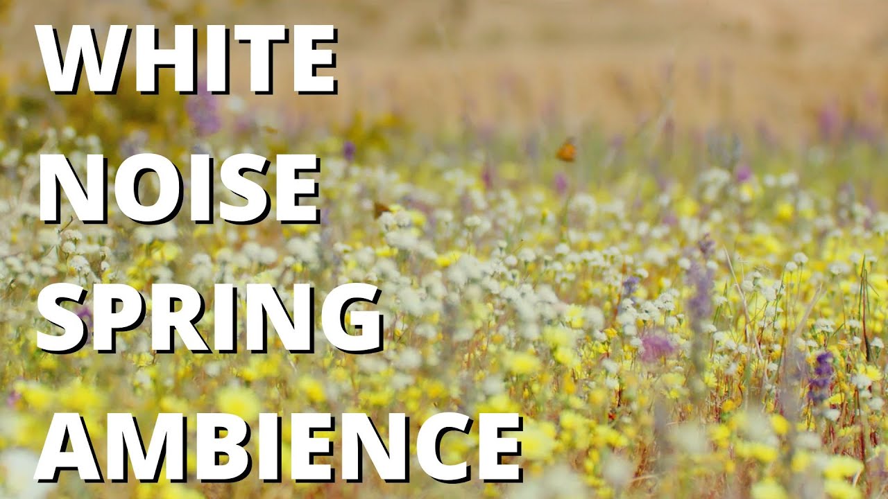 SPRING AMBIENCE - MEDITATION, FOCUS, SLEEP, WHITE NOISE, ASMR ...