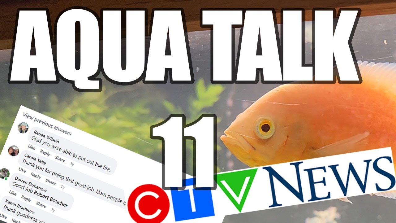 Fish Tank Tours 11: Oscars and CTV NEWS! - YouTube