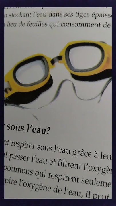 J'adore plonger dans la mer, je vois bien nous amis les poissons. - YouTube