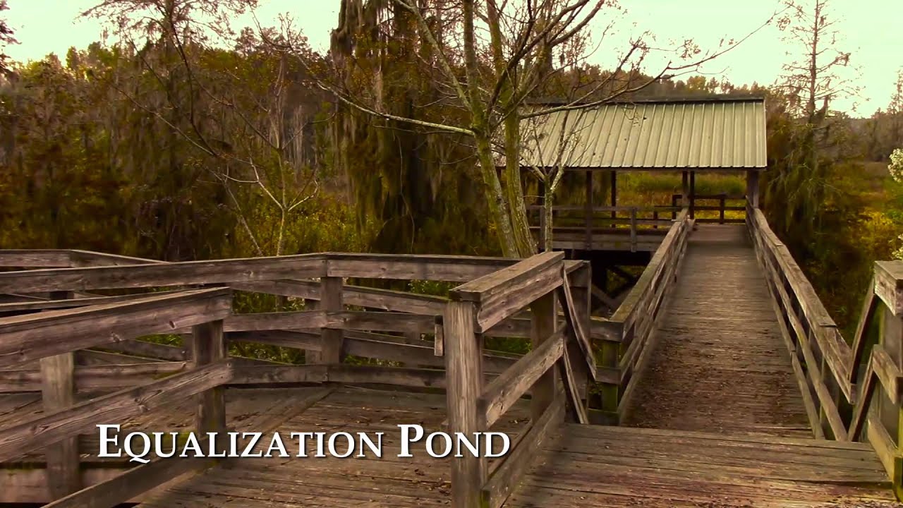 Phinizy Swamp Nature Park - Equalization Pond - YouTube