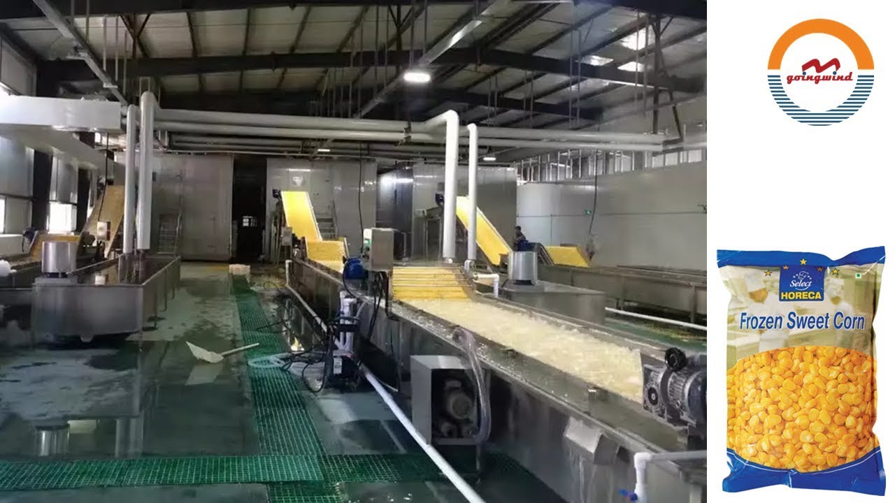 Automatic frozen sweet corn production line auto frozen fruit ...