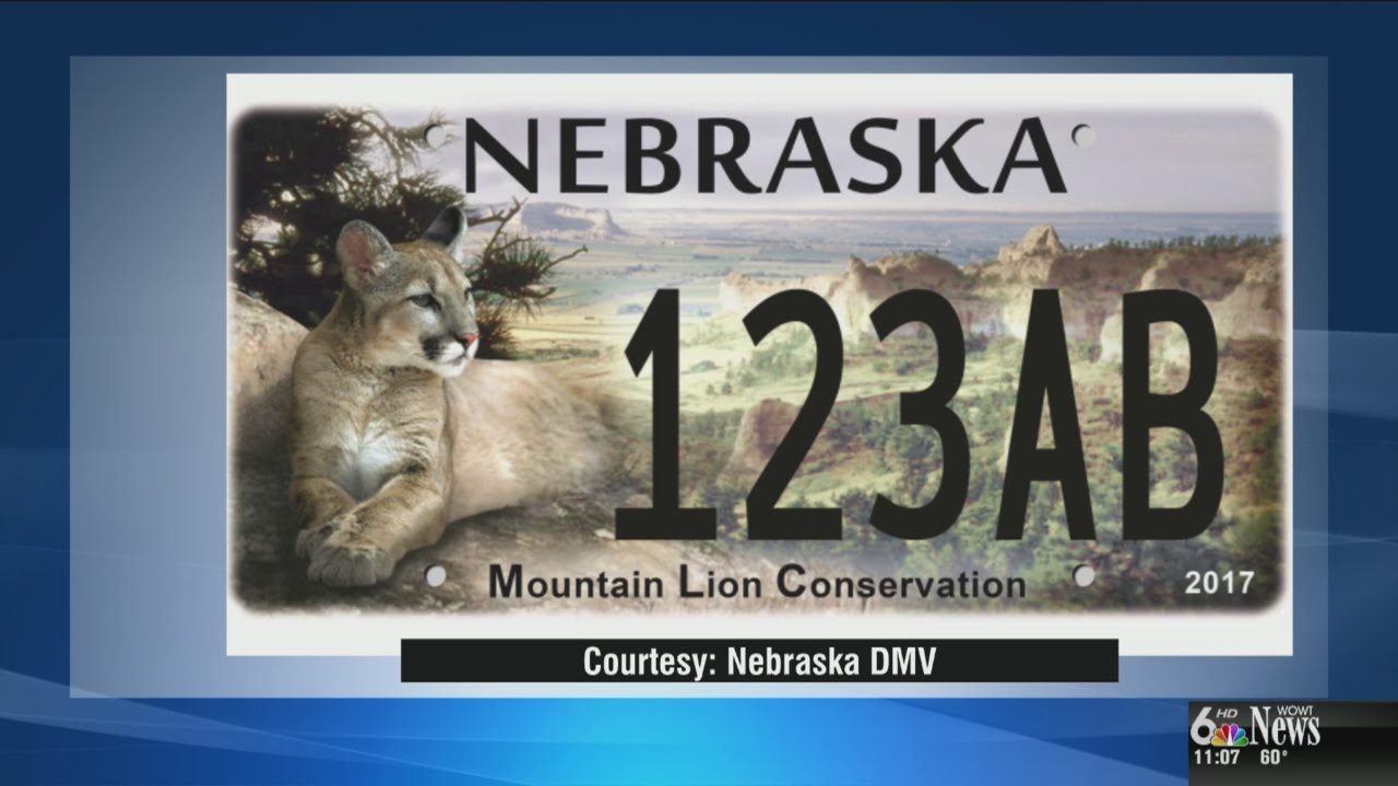 Nebraska mountain lion license plate now available - YouTube
