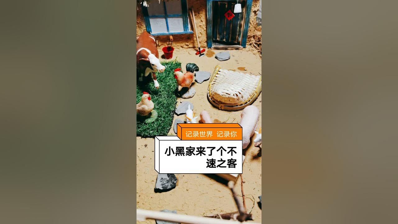 Asmr Mini Food Cooking Show Cooking Mukbang Miniature Tik Tok China asmr-mini-food-cooking-show-cooking-mukbang-miniature-tik-tok-china