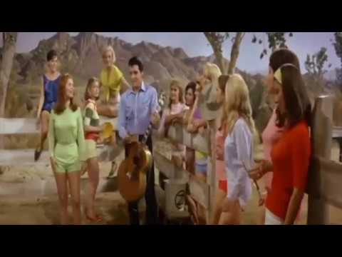 Elvis Presley: Night Rider (Tickle Me) (1965)