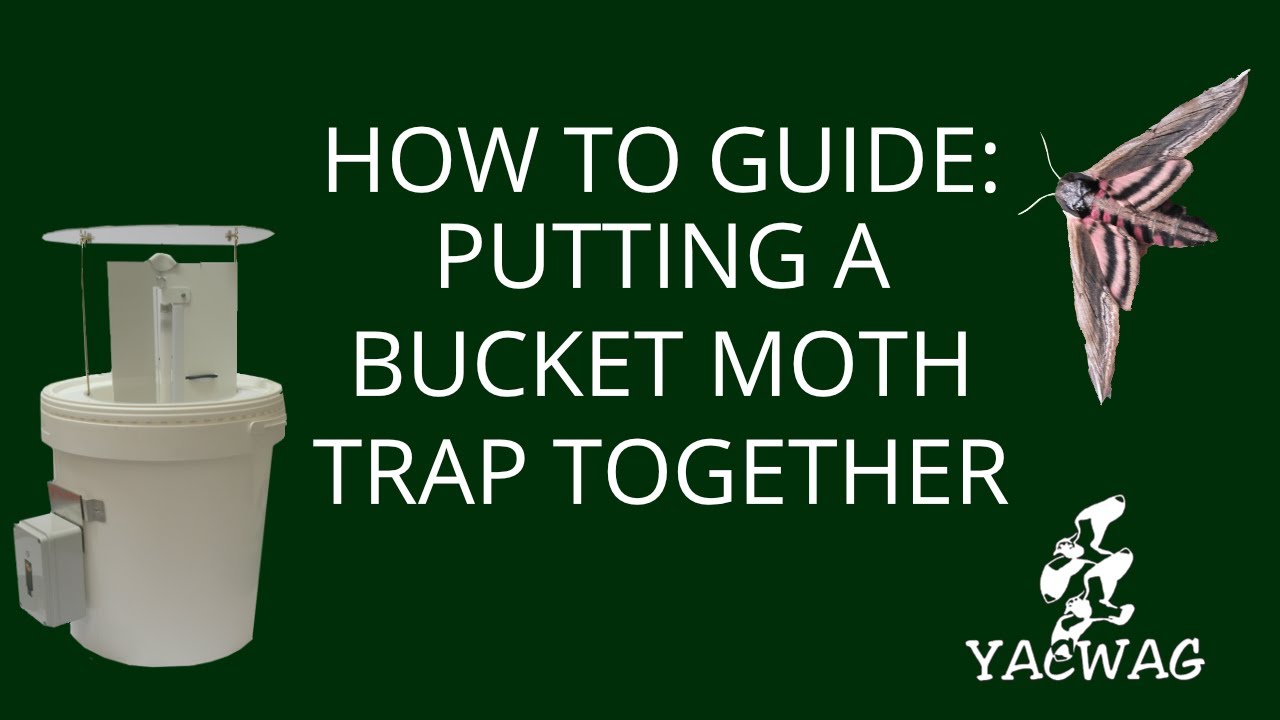 Putting a Bucket Moth Trap together - YouTube