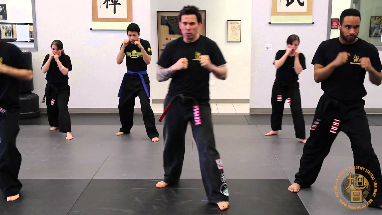 TRAINMEJDF.COM Promo: Front Snap & Back Kicks - YouTube