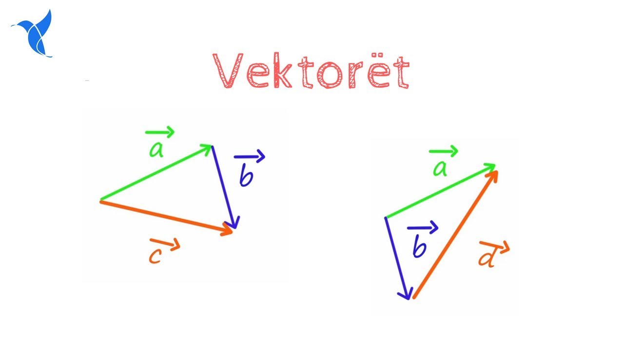 Vektorët - YouTube
