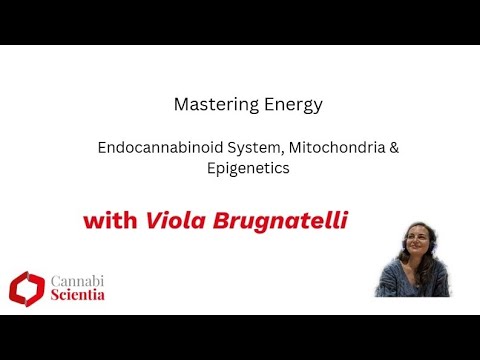 Mastering Energy: Endocannabinoid System, Mitochondria & Epigenetics ...